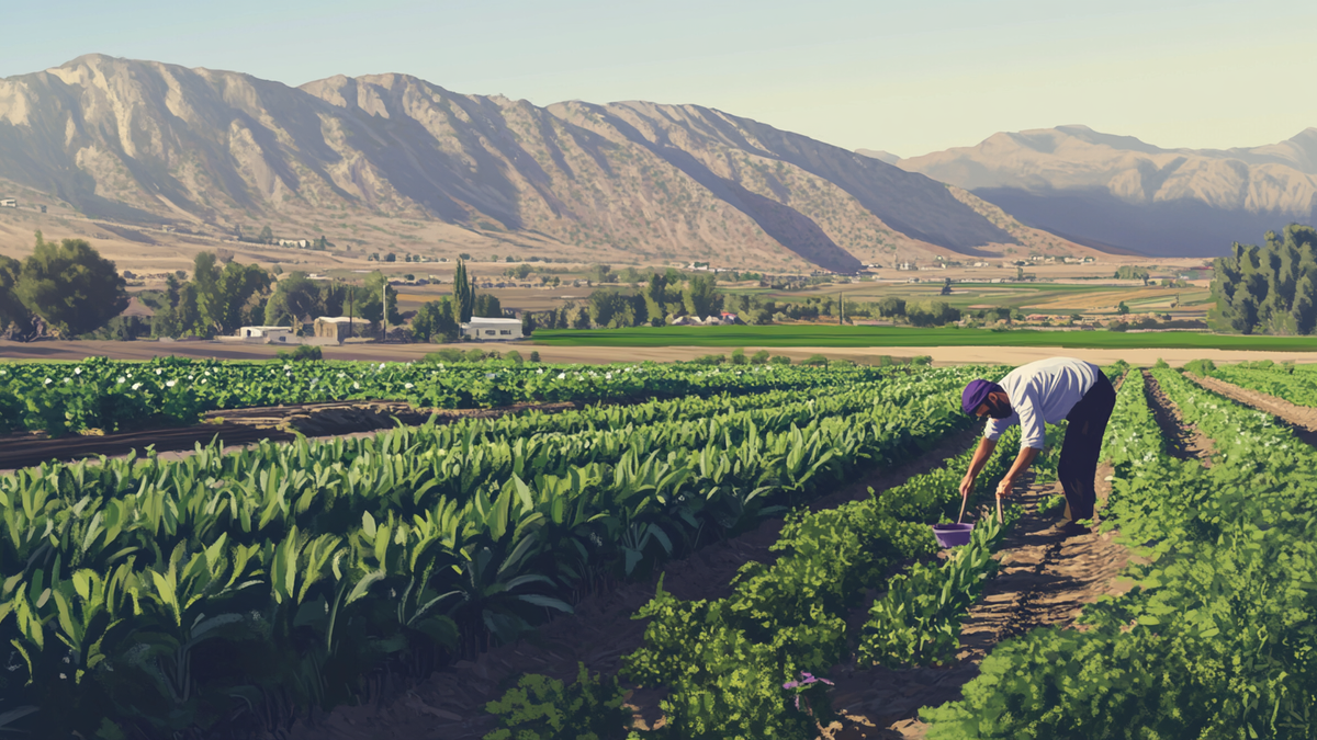 Agritech: How Israel's Farming Innovations... | Metaintro